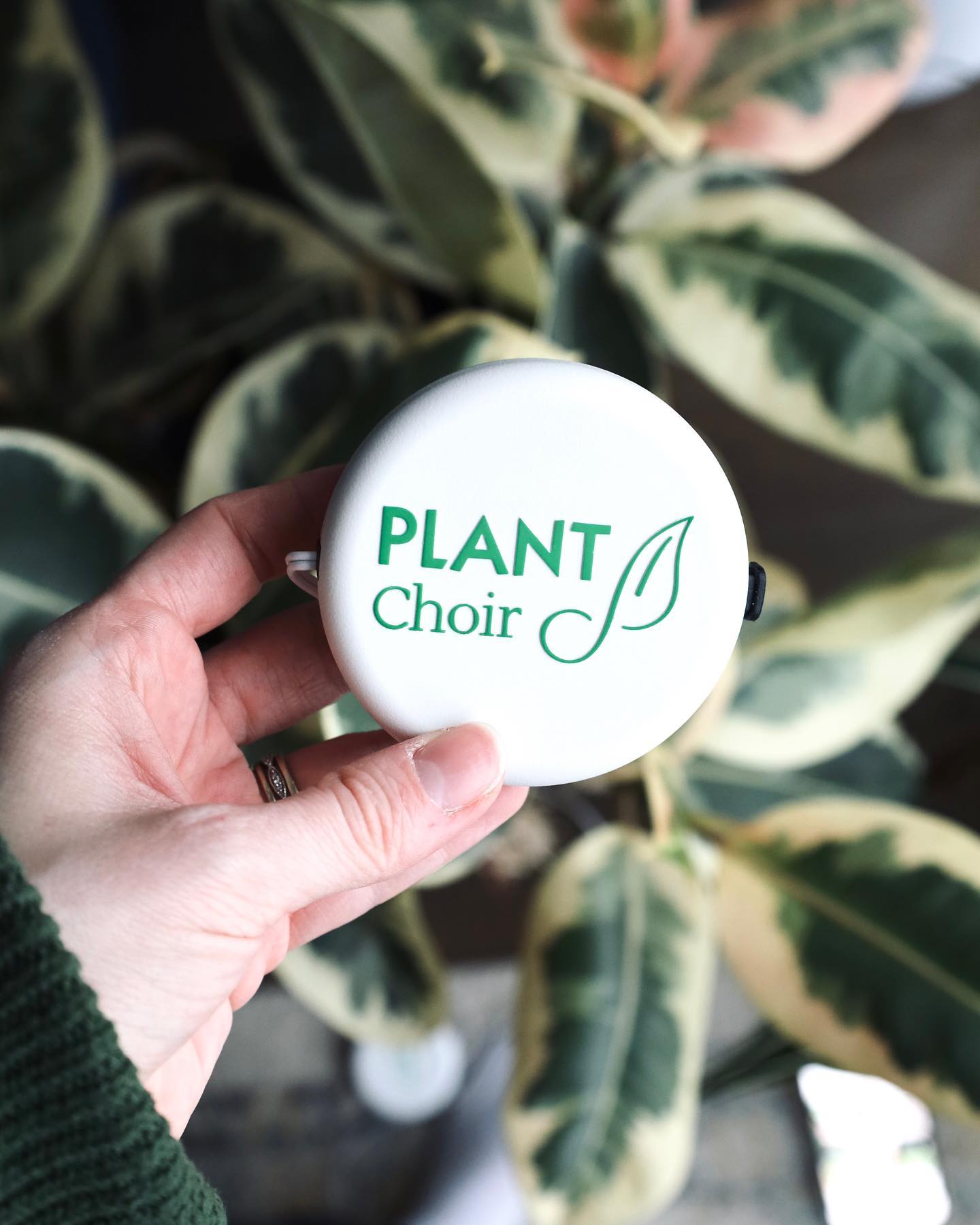 Make Music With Your Plants | PLANTChoir – PlantChoir