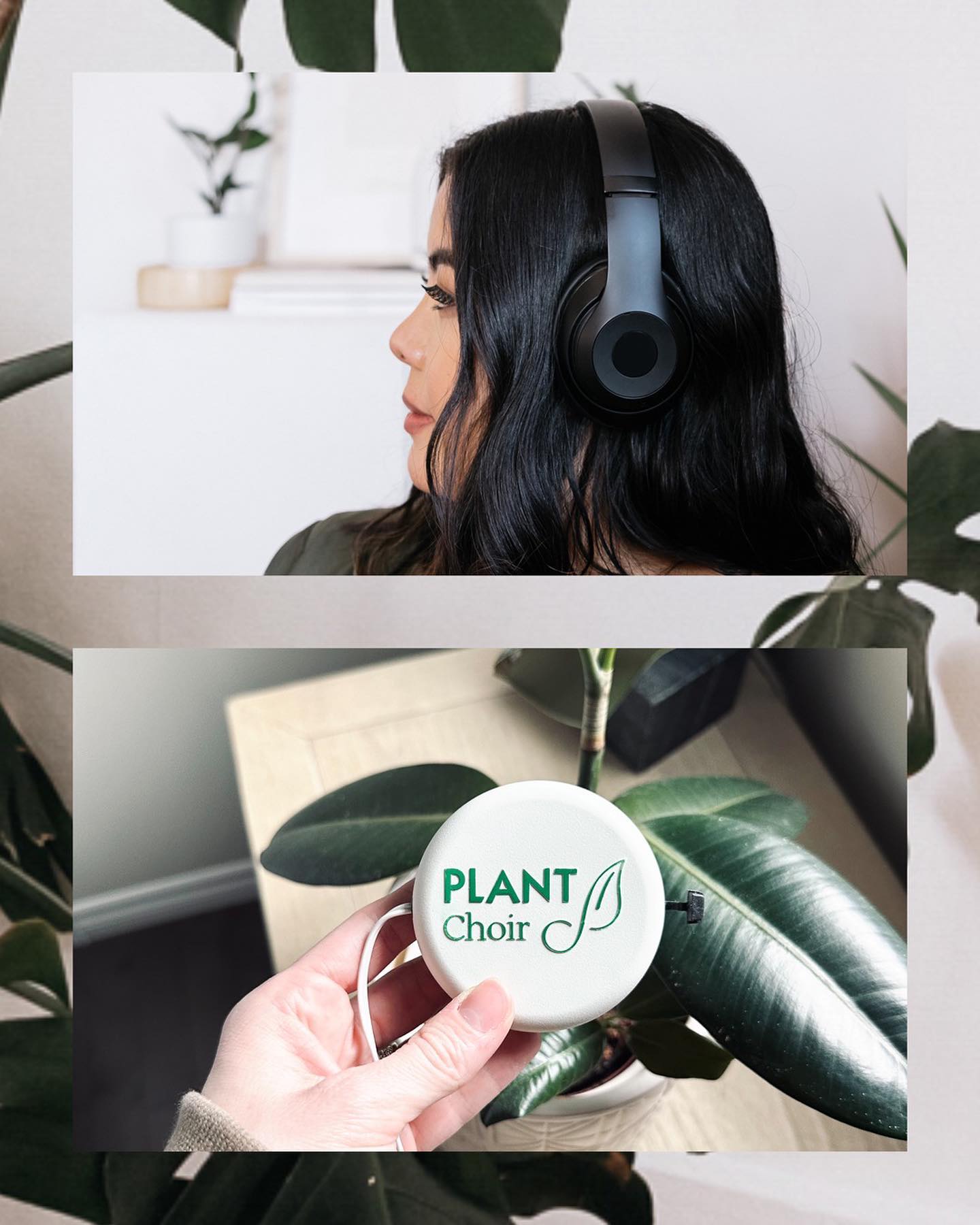 Make Music With Your Plants | PLANTChoir – PlantChoir