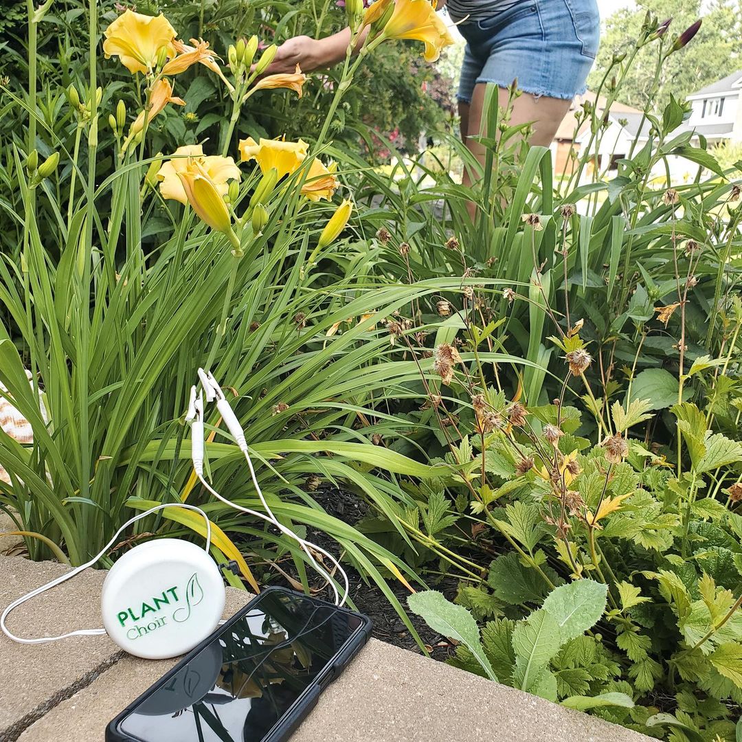 Make Music With Your Plants | PLANTChoir – PlantChoir