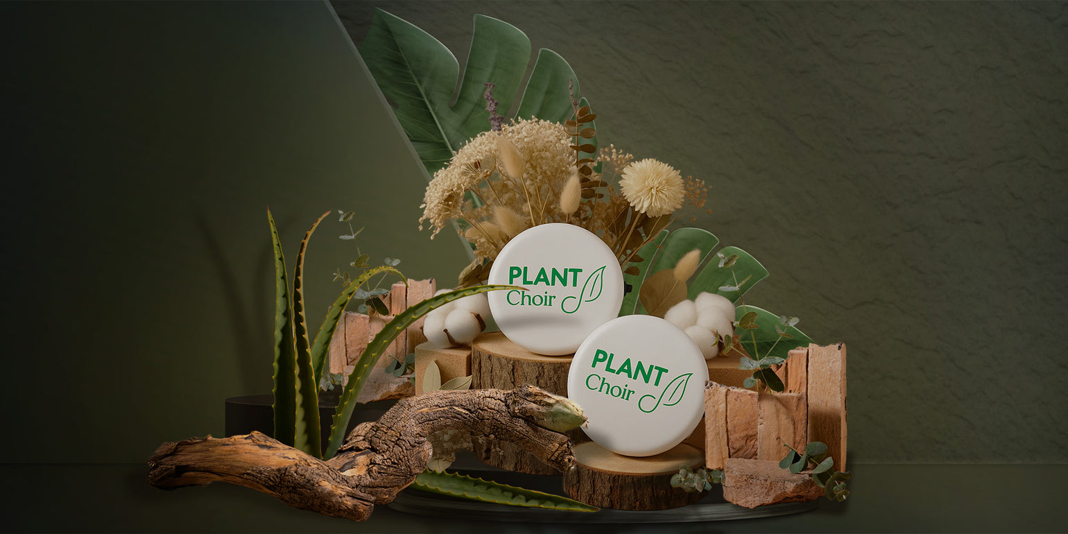 Make Music With Your Plants | PLANTChoir – PlantChoir