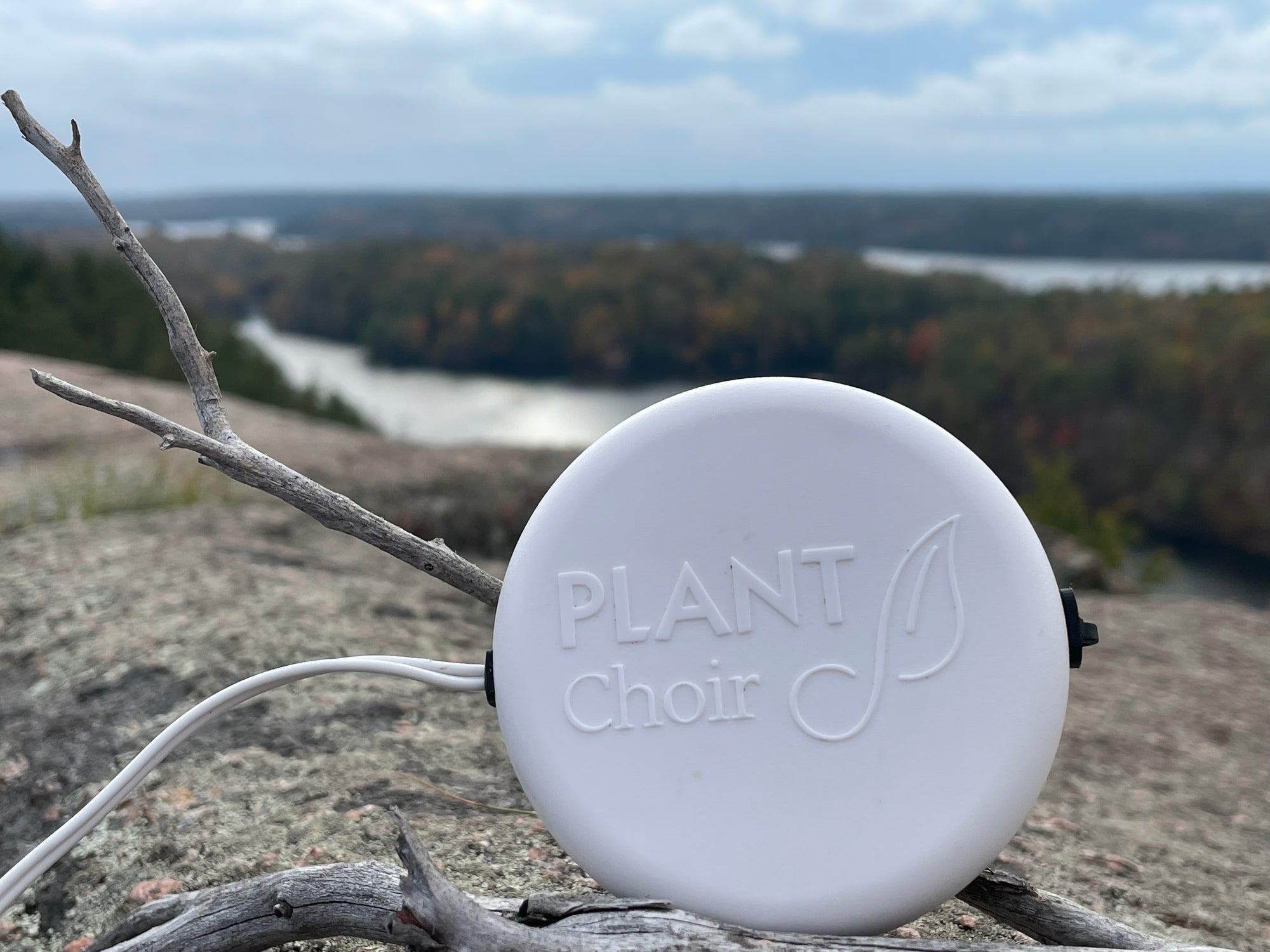 Make Music With Your Plants | PLANTChoir – PlantChoir