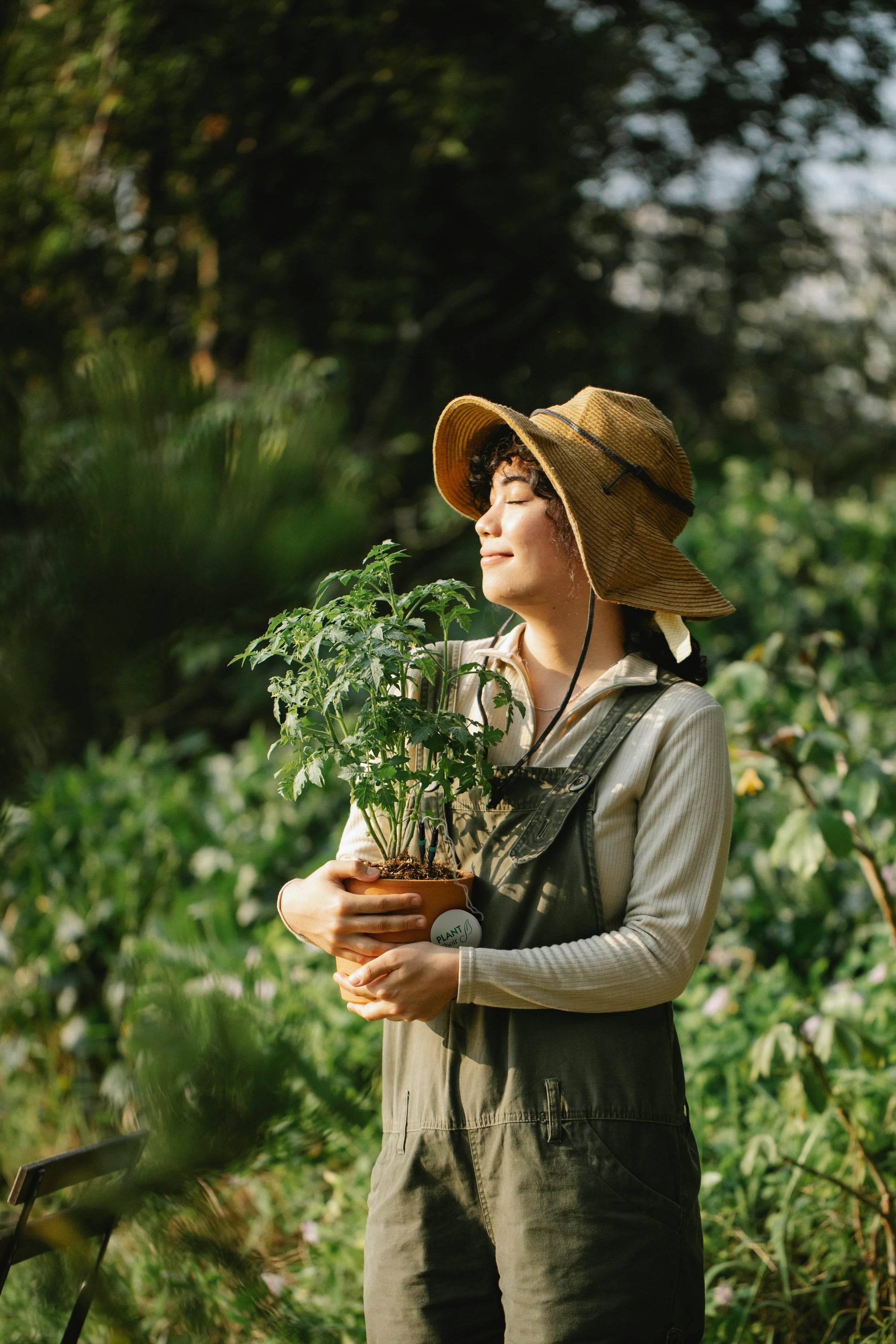 Make Music With Your Plants | PLANTChoir – PlantChoir