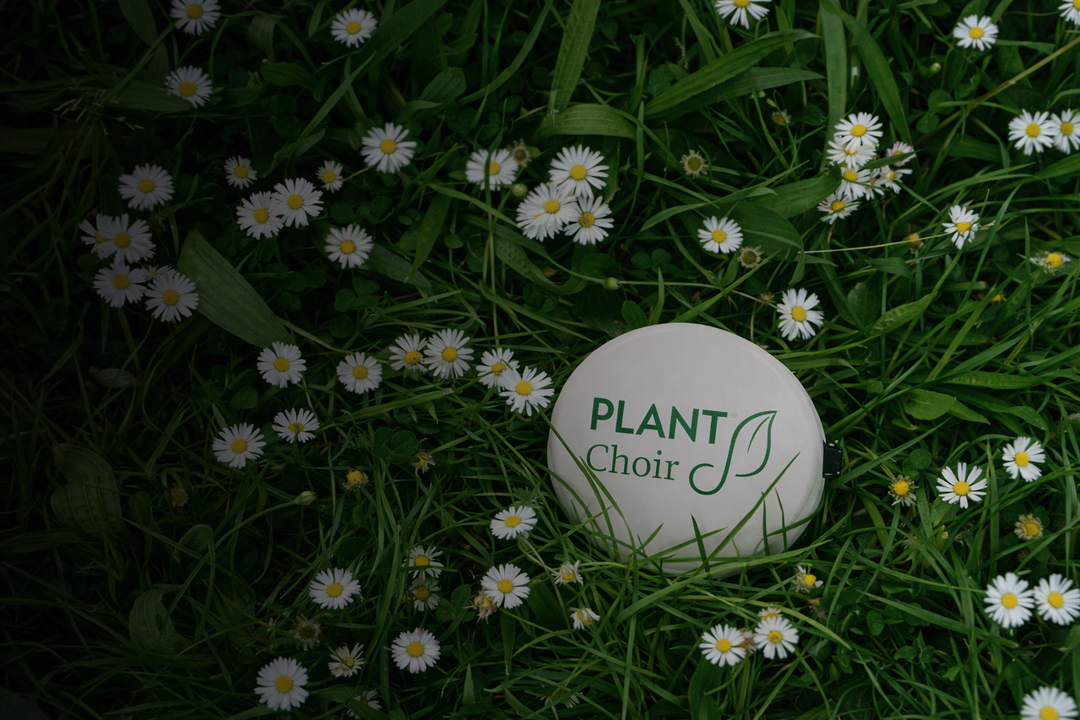 Make Music With Your Plants | PLANTChoir – PlantChoir