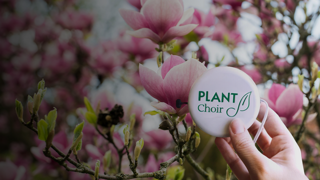 Make Music With Your Plants | PLANTChoir – PlantChoir